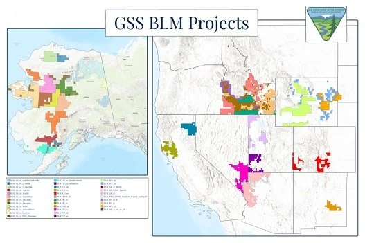 NWI Projects — GeoSpatial Services