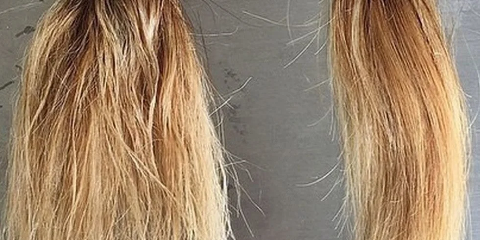 Healthy Vs Unhealthy Hair