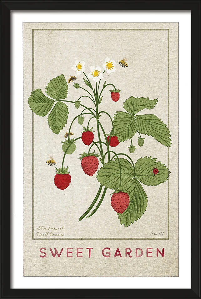 Beehive and Bee Honeybee Honey Queen Bee Home Decor Canvas Wall Art ...