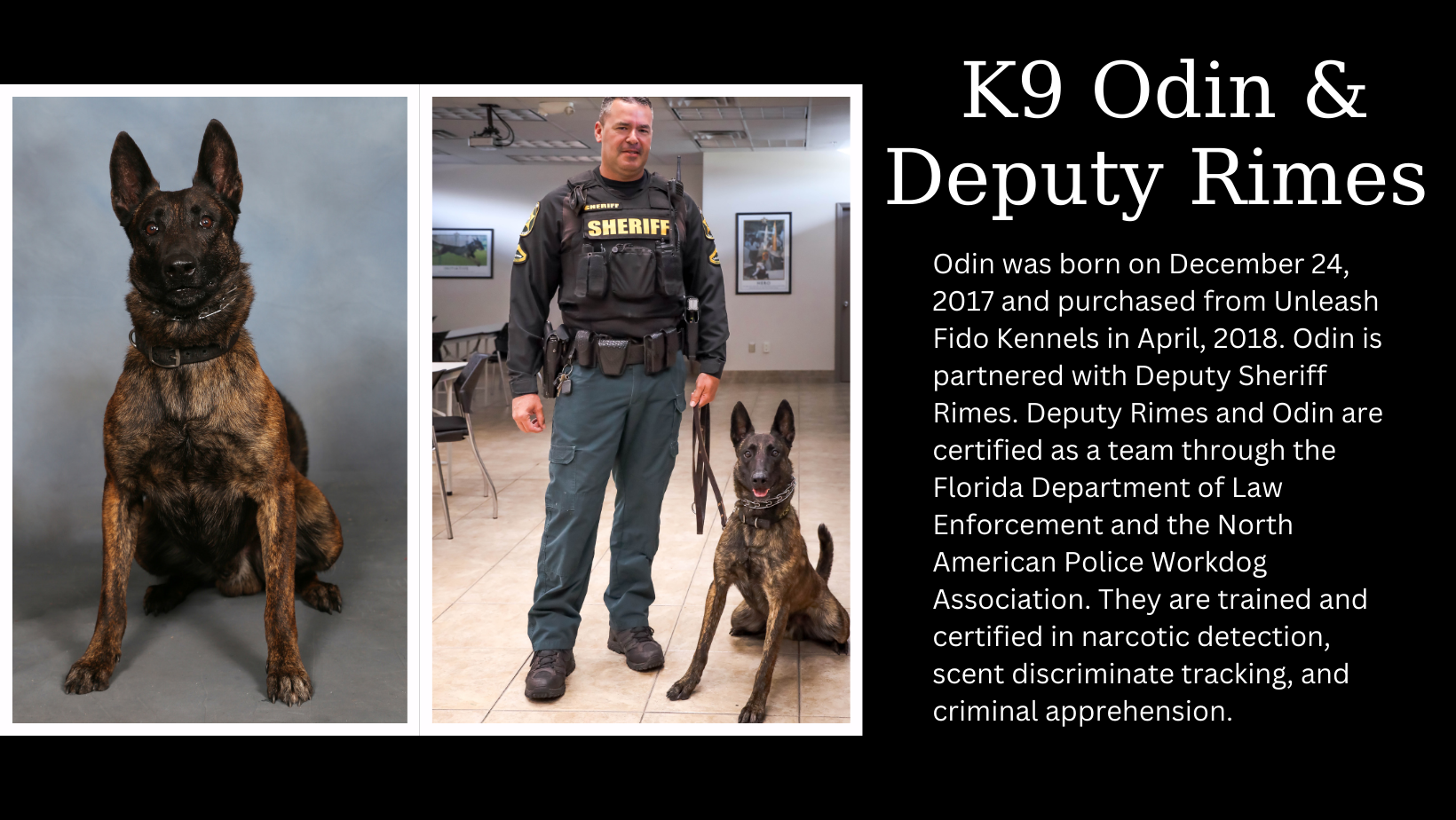 Dogs Purchased by K9s for Cops — K9s for Cops Polk County