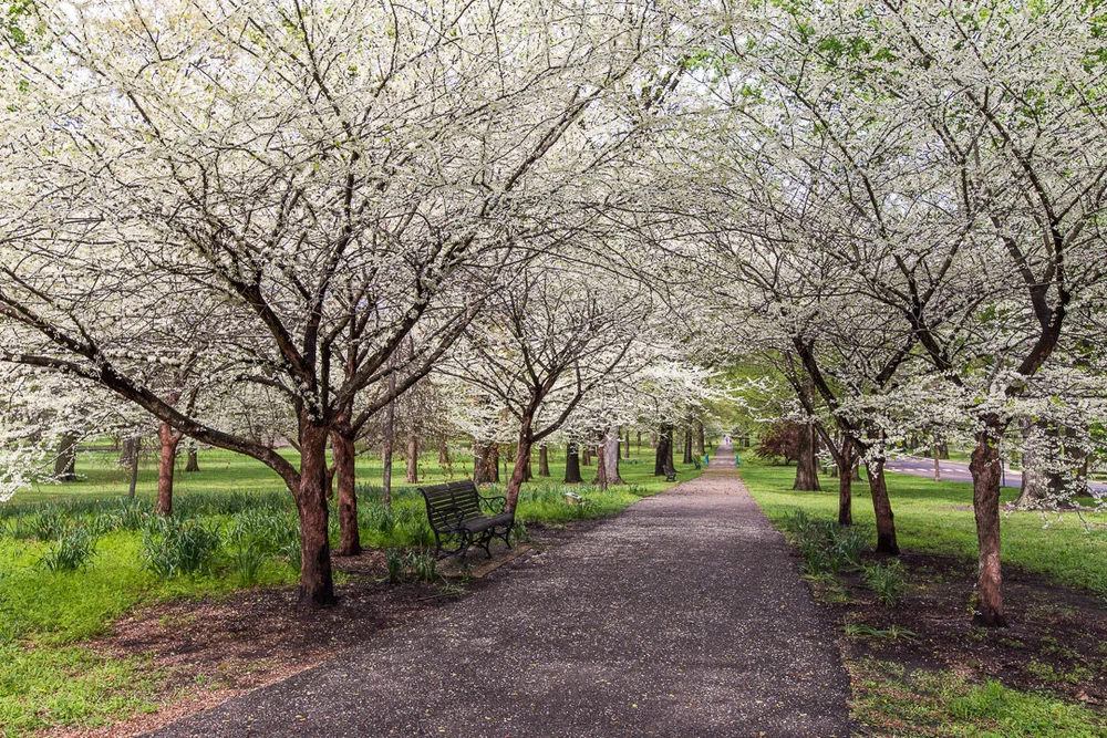 Resources — Tower Grove Park