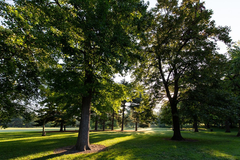 Resources — Tower Grove Park