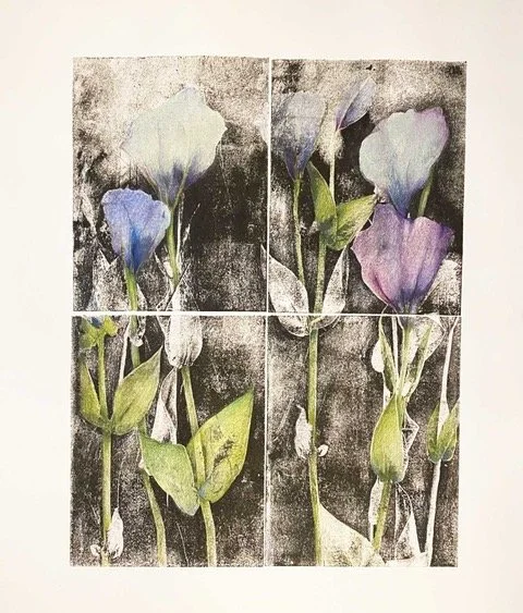 Julie Cowan (Works) — Vivid Art Gallery