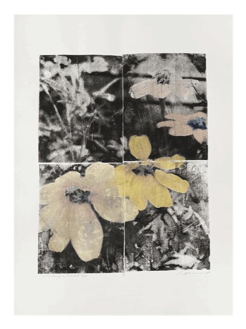 Julie Cowan (Works) — Vivid Art Gallery