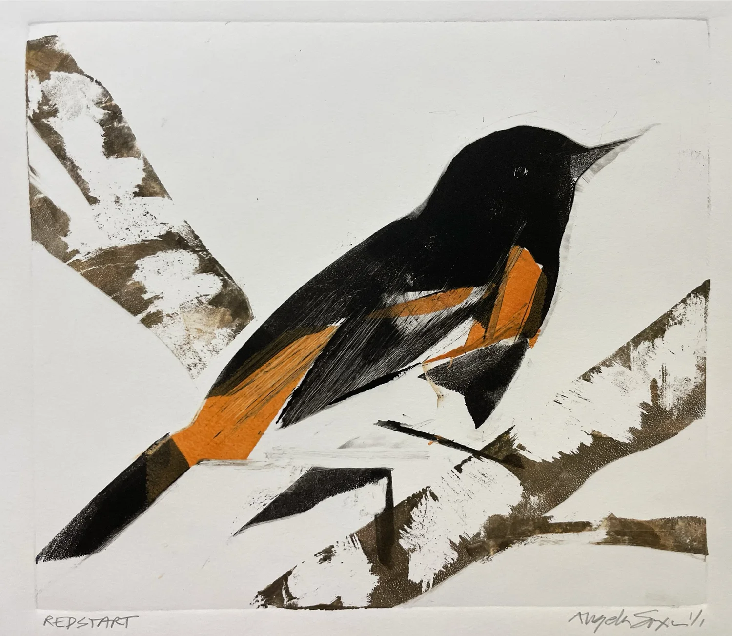 Vivid Art Gallery-Home