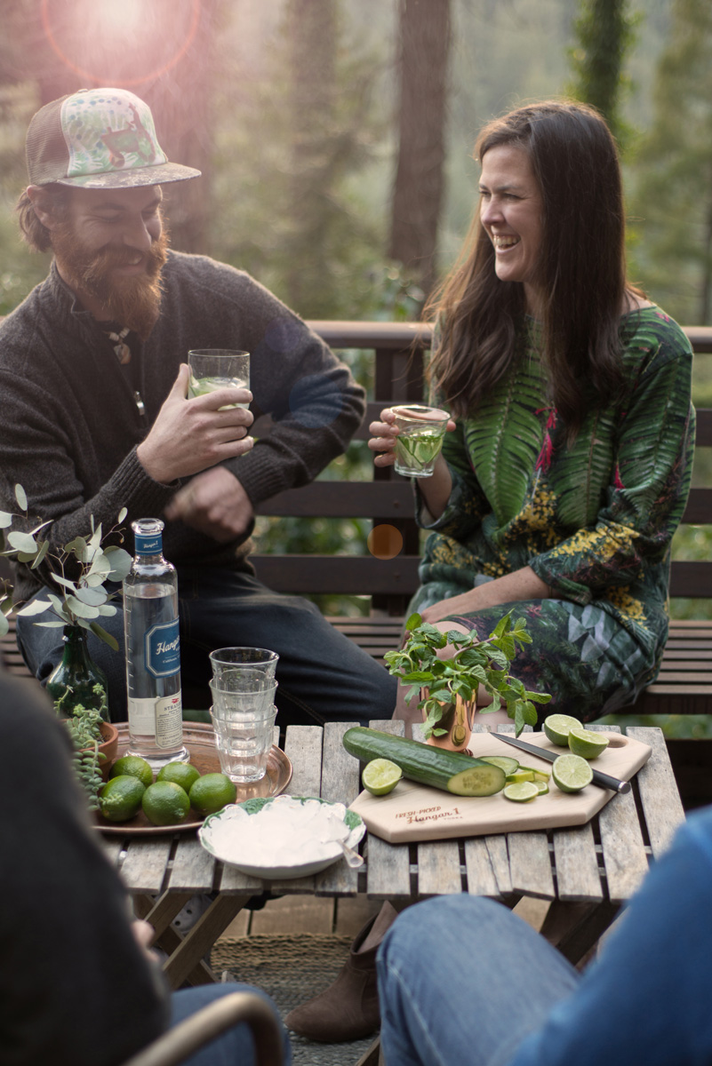 Green Gimlet Cocktail for St. Patrick's Day — The Forest Feast