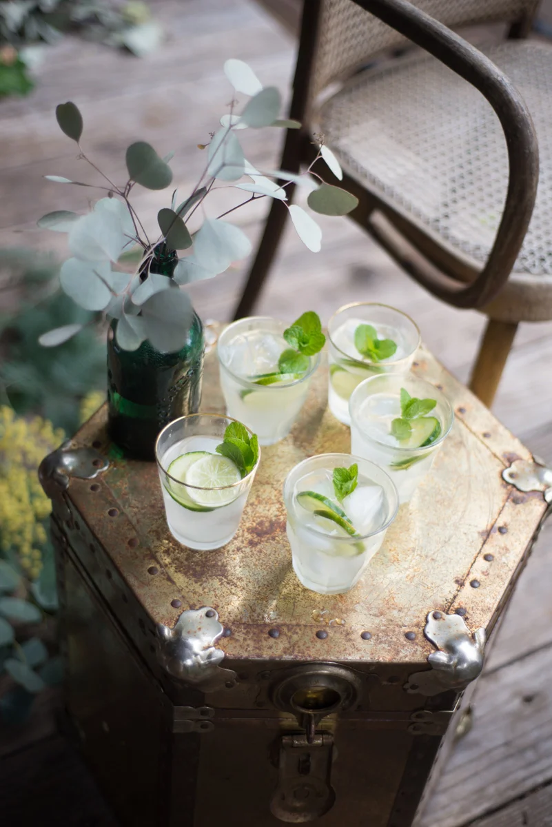 Green Gimlet Cocktail for St. Patrick's Day — The Forest Feast