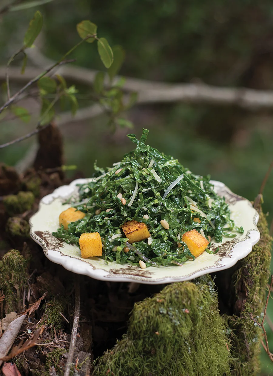 Cookbook Giveaway! — The Forest Feast