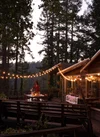 Fall Recipes from My New Book — The Forest Feast