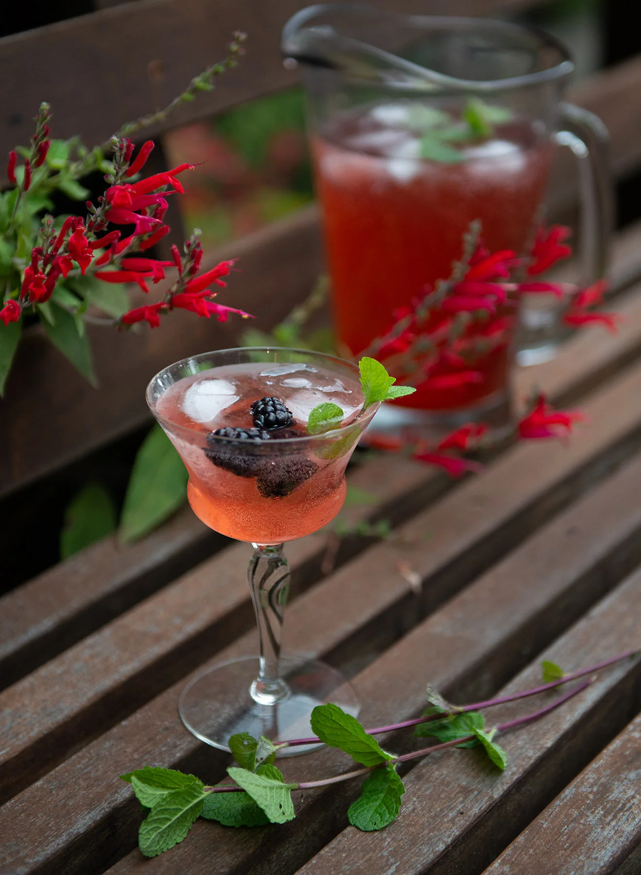 Blackberry Shrub Mocktail — The Forest Feast