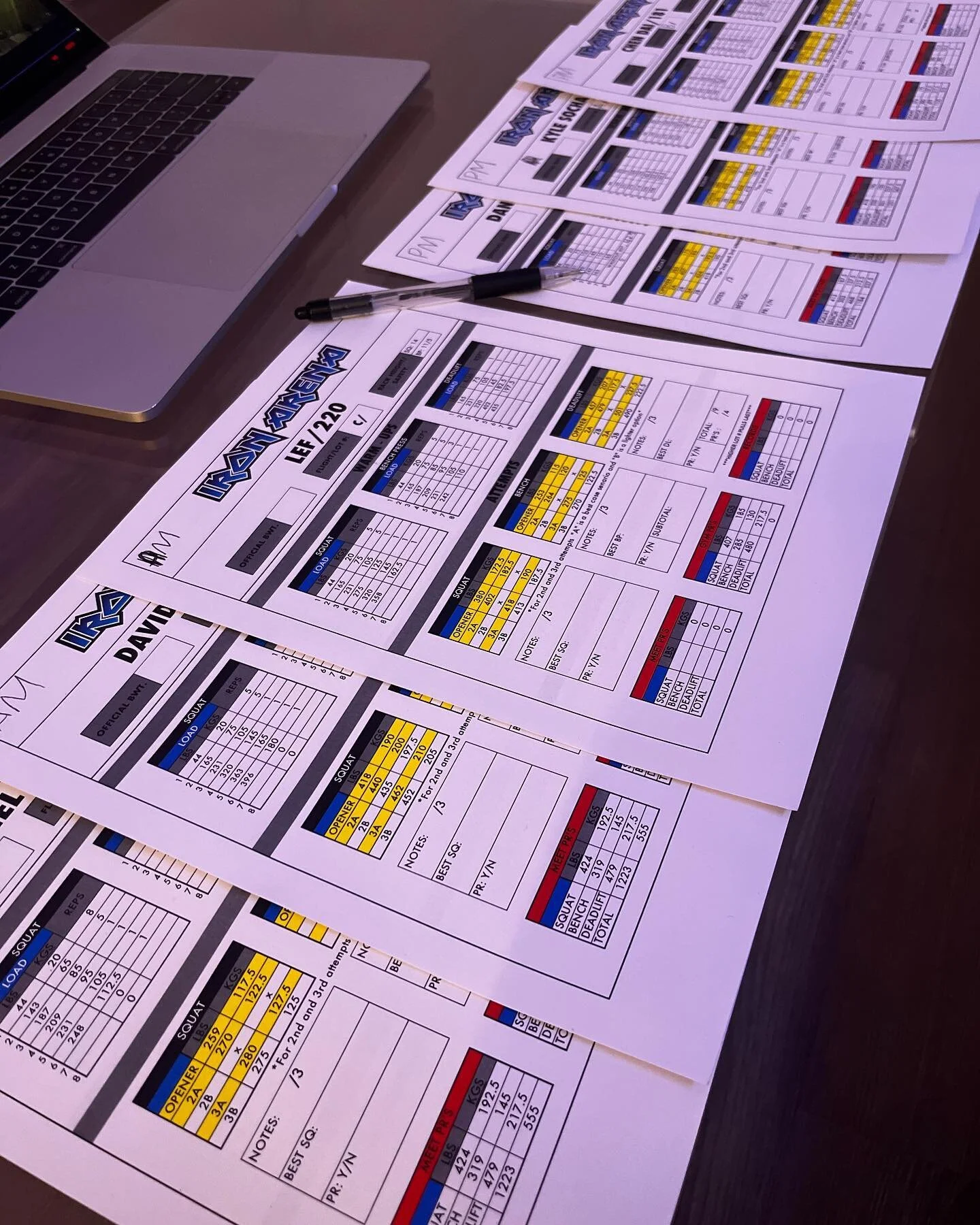 Iron Arena Powerlifting & Performance