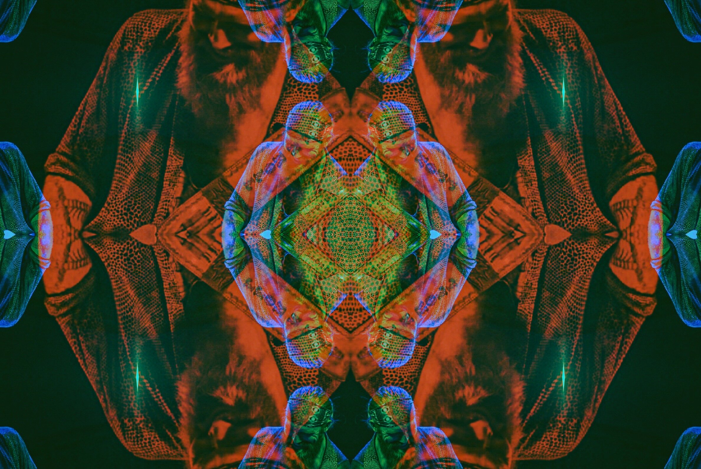 Electric Mud - The Official Website of San Diego’s Rock Band