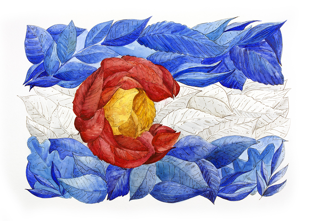 Colorado Flag With Pot Leaf