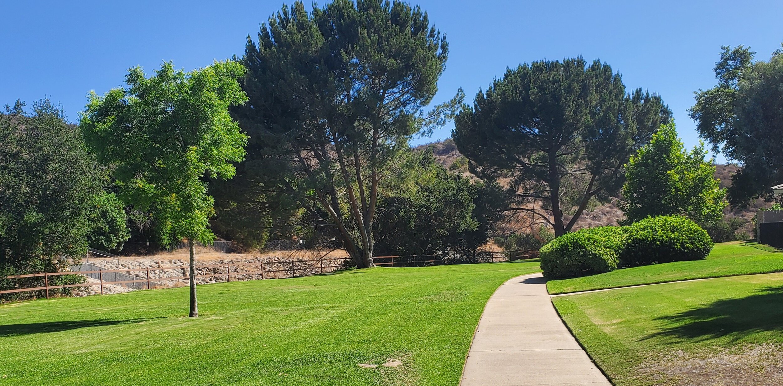 Dr. Sue Mandel Therapy & Life Coaching