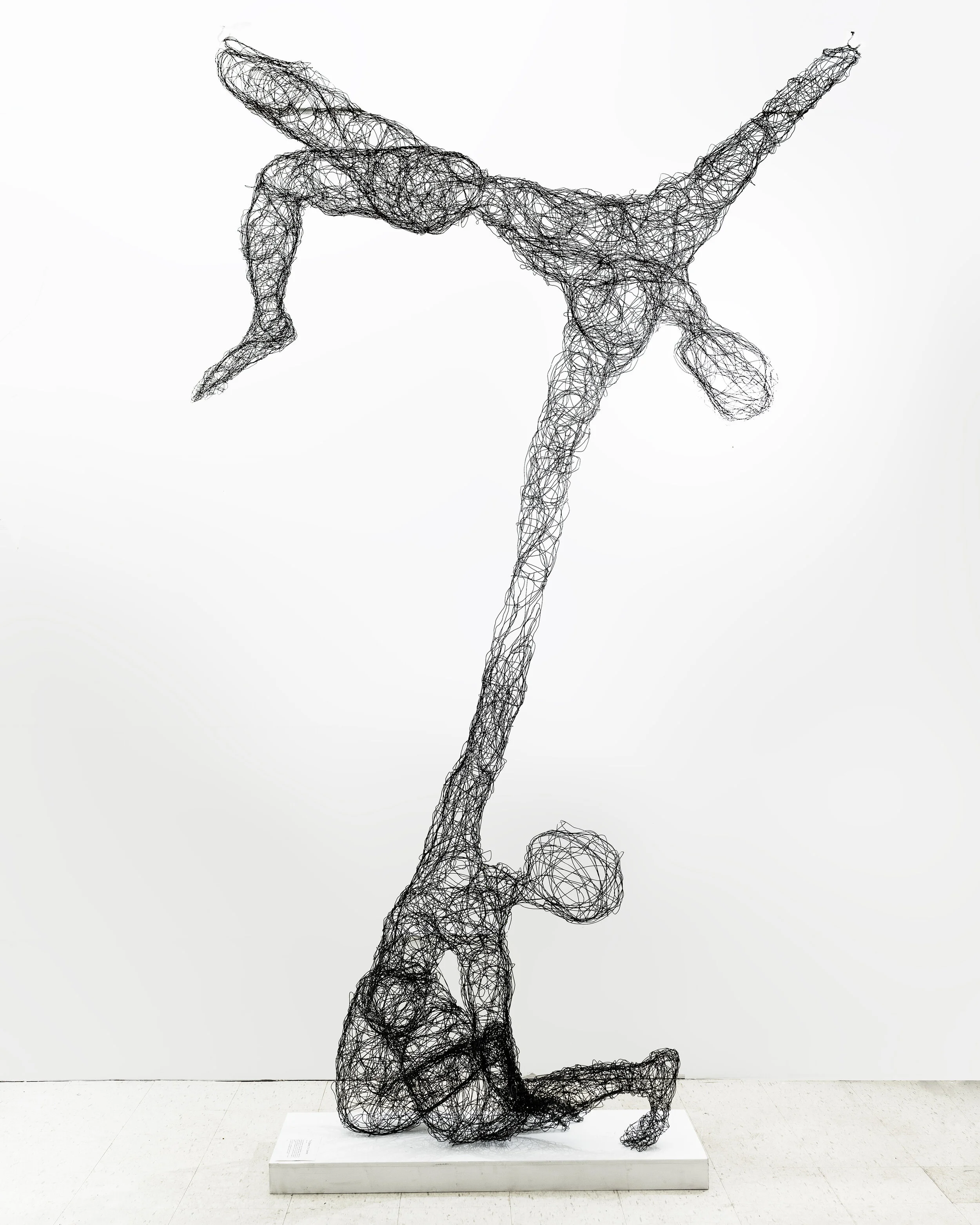 Wire Sculpture Art