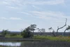 A Day on Tybee Island | A Savannah Vacation Guide — GENTEEL & BARD