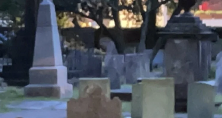 Charleston’s Mourning Ghost of Sue Howard Hardy — GENTEEL & BARD