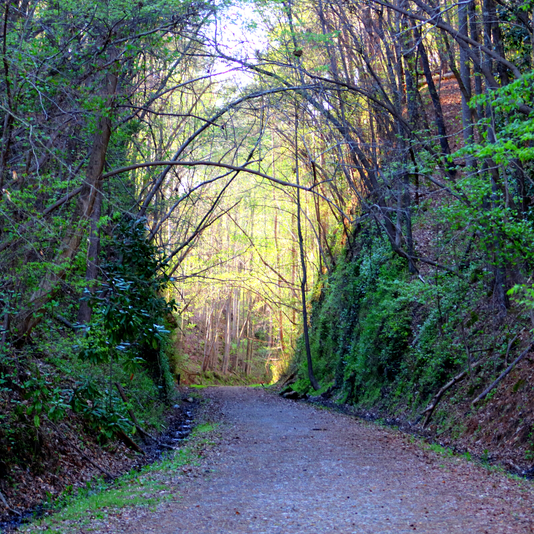 What was the Battle of Allatoona Pass? — GENTEEL & BARD