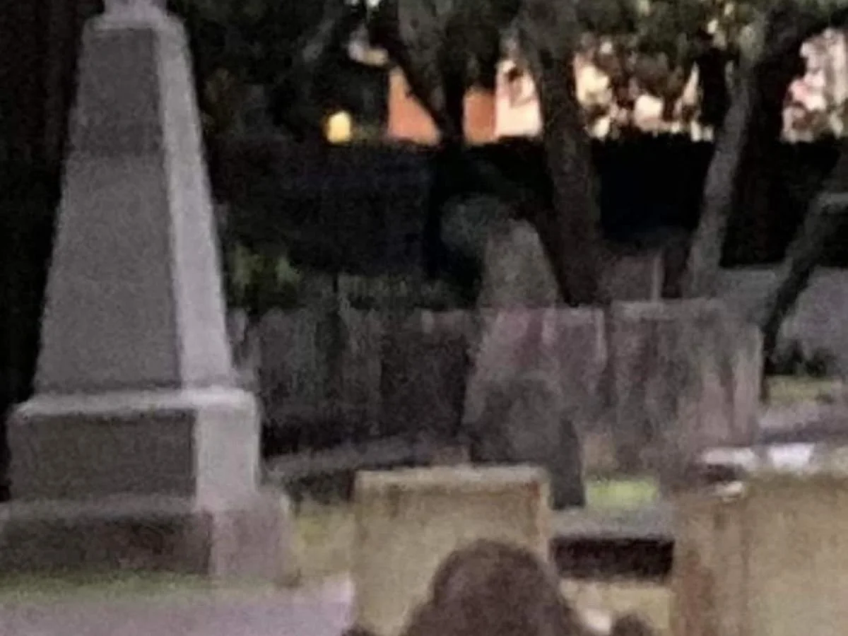 Charleston’s Mourning Ghost of Sue Howard Hardy — GENTEEL & BARD