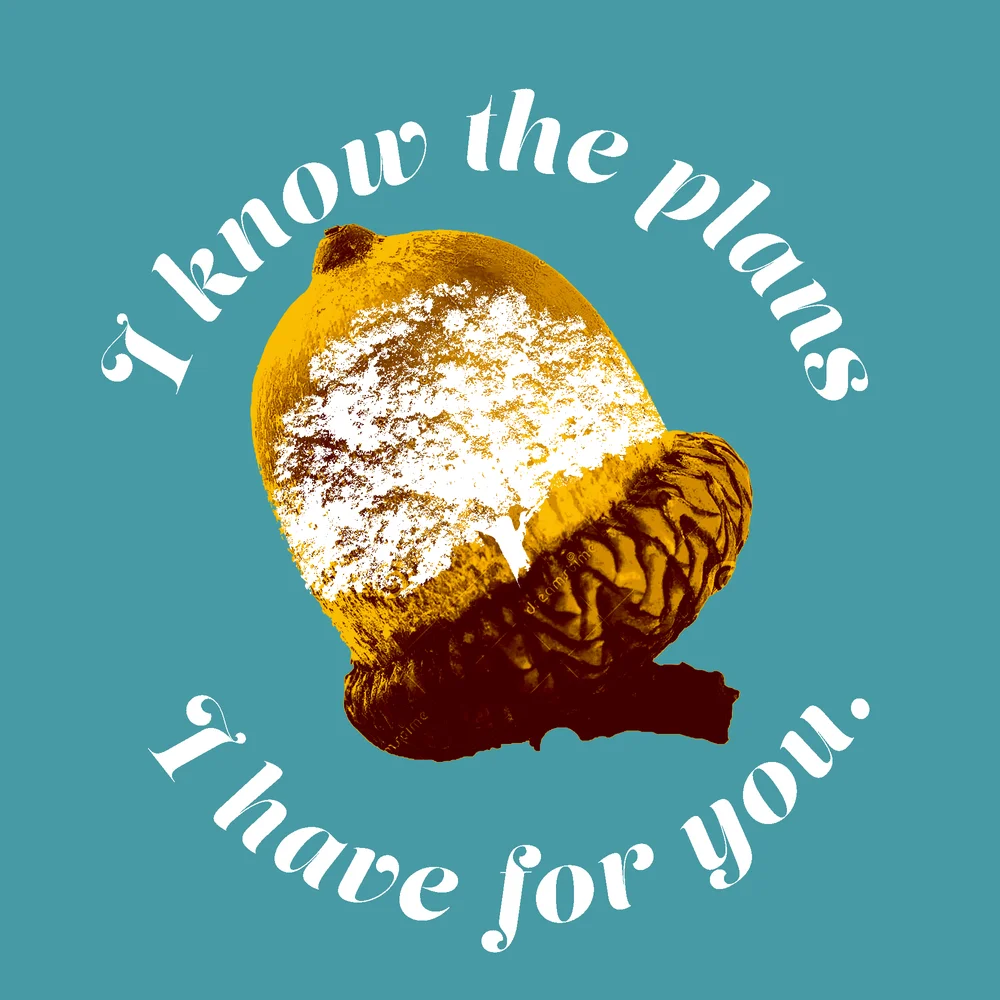 Projects in Progress... — JJJaspersen Studios