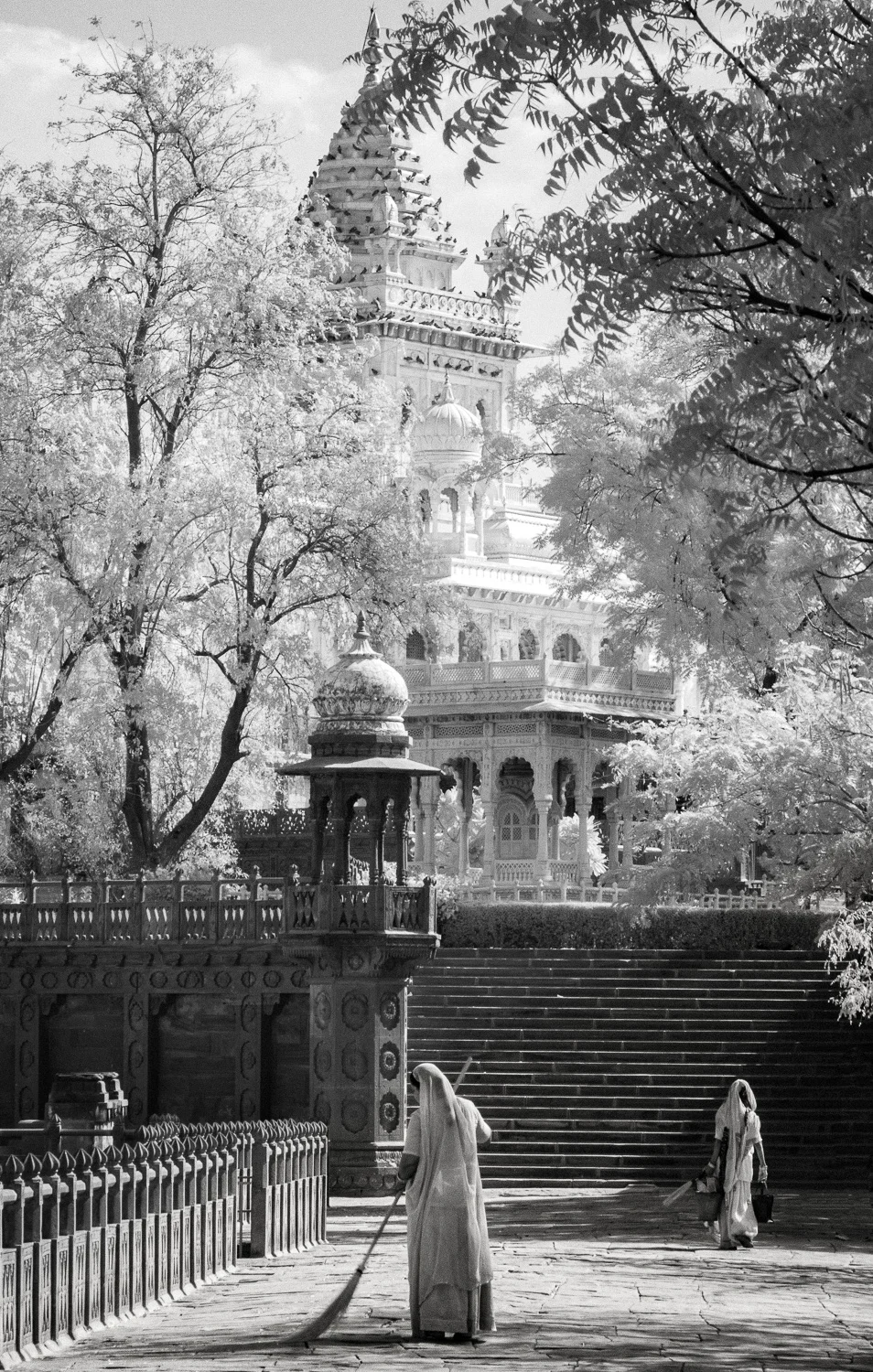 Colors of India Workshop Gallery