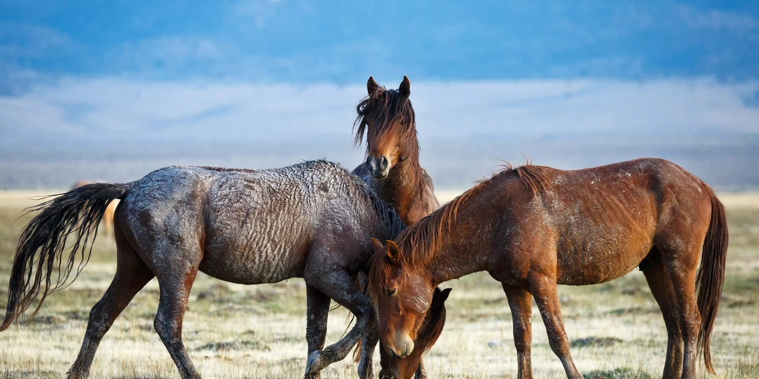 Art of Seeing Photography Adventures