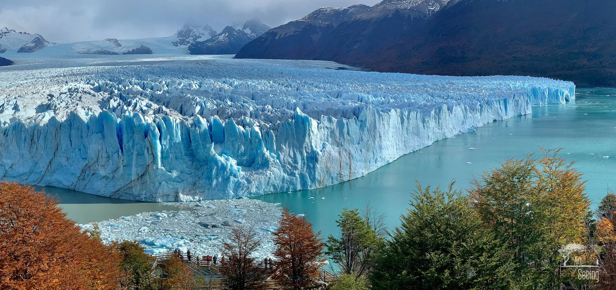 Patagonia 2026 Fall Colors + Puma Tracking Extension Photography Adventure