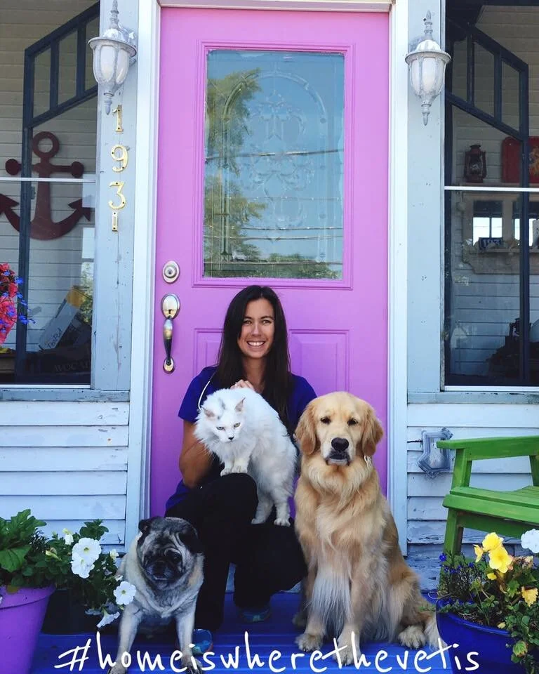 DR KATIE BELL — Seaside Home Veterinary Care