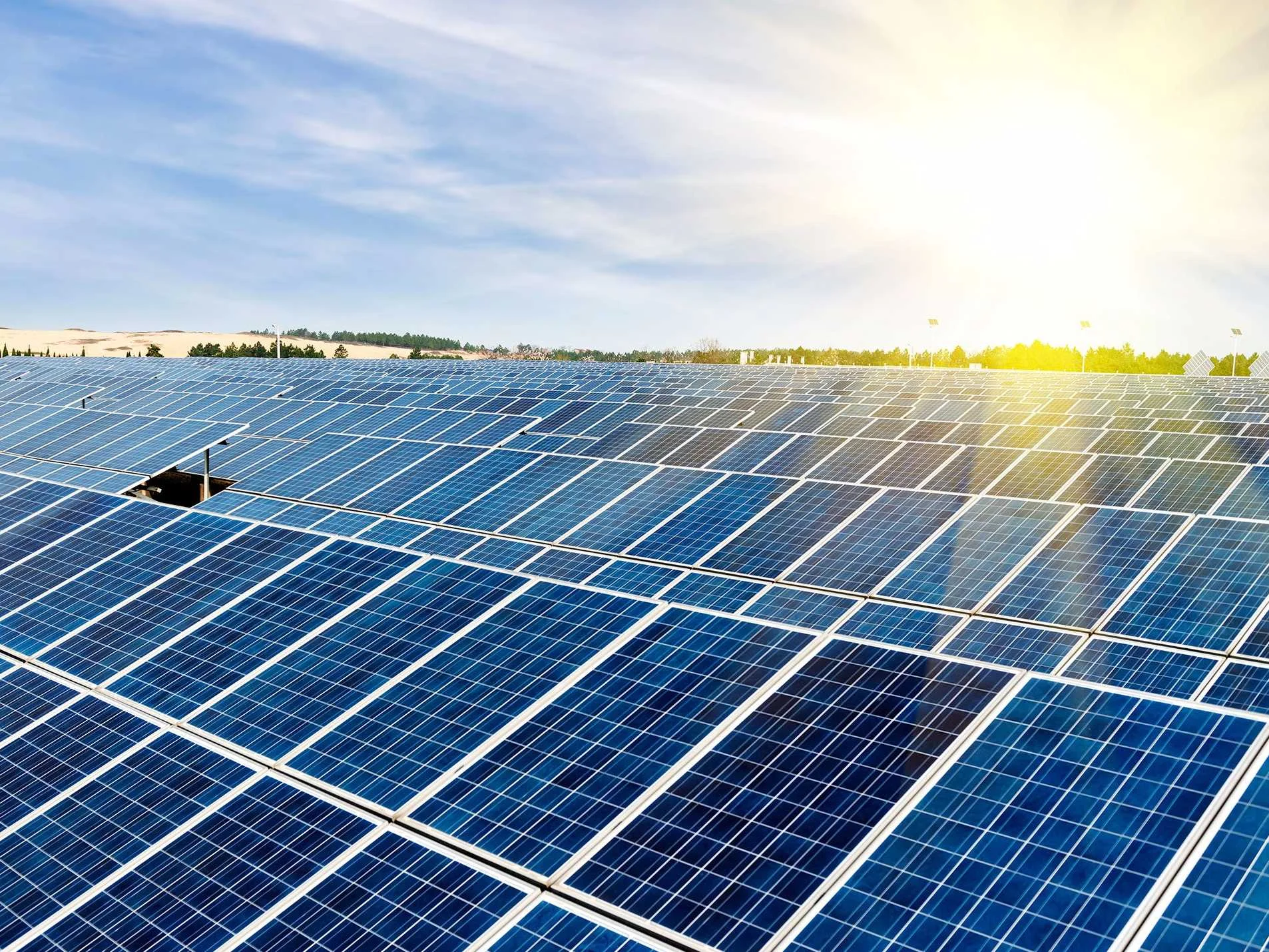 Wilmot Inc | Sustainability Consulting