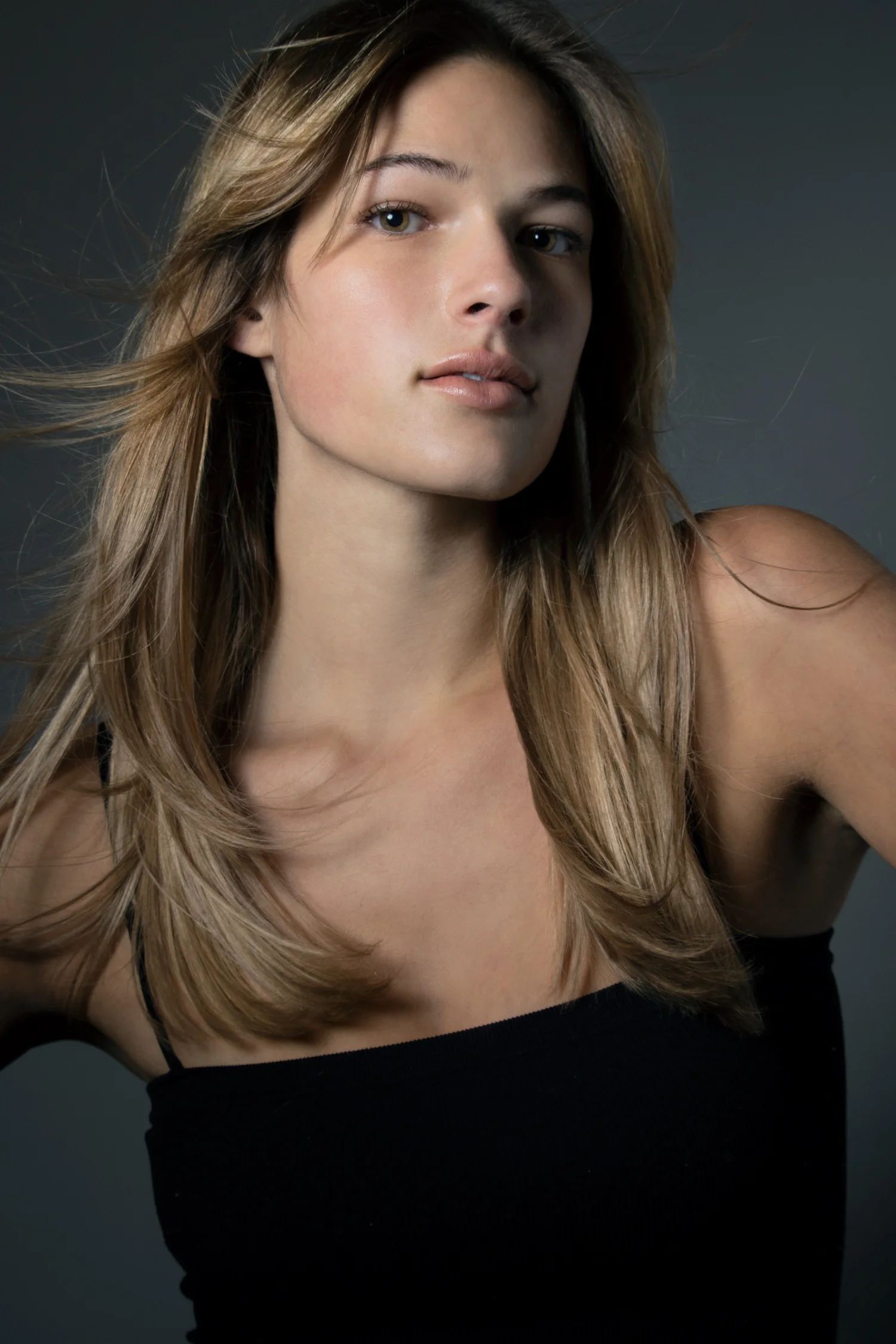 FMI Fox Models International