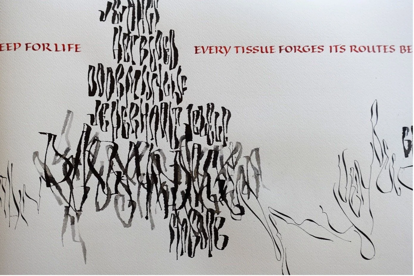 Chicago Calligraphy Collective