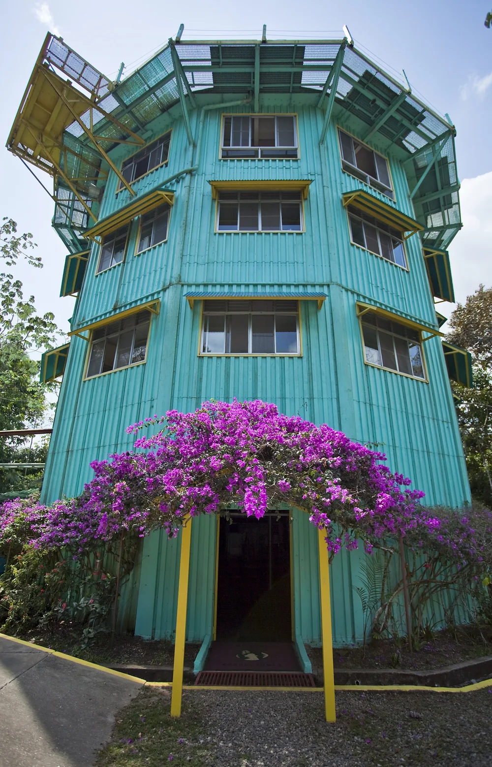 Canopy Lodge and Tower — Red Hill Birding