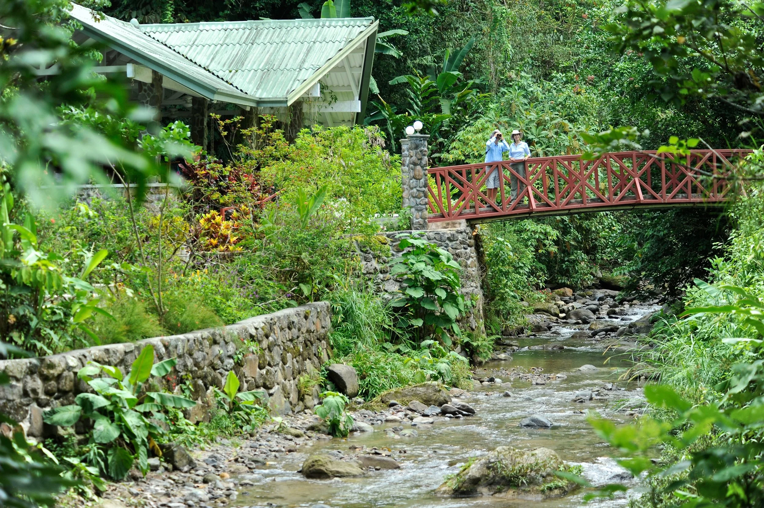 Panama - Lodge and Tower Gallery — Red Hill Birding