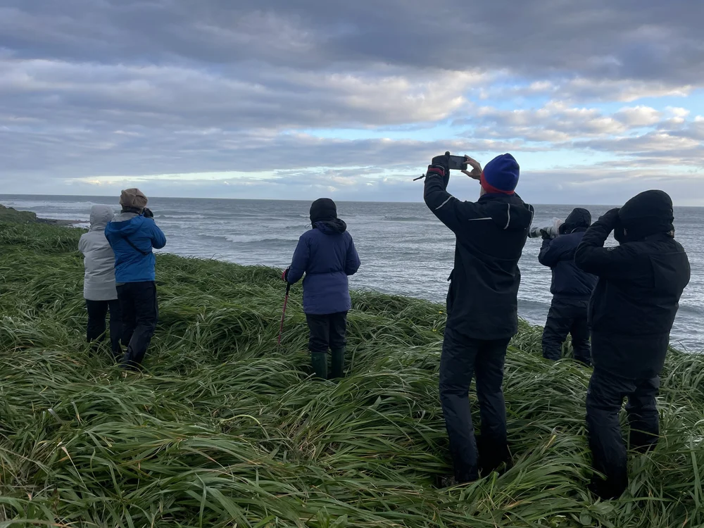 Alaska in Summer — Red Hill Birding