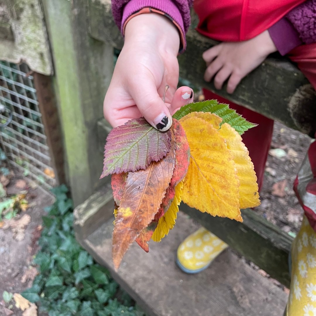 Top 10 Fun Nature Games and Activities for Kids and Families — Go Jauntly
