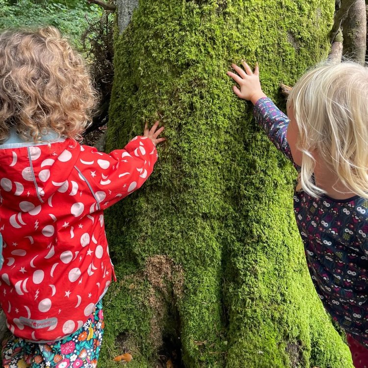 Top 10 Fun Nature Games and Activities for Kids and Families — Go Jauntly