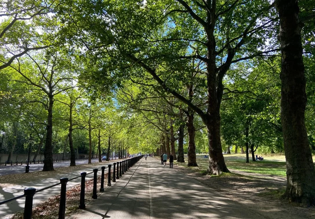 9 Best Walks and Walking Routes in London — Go Jauntly