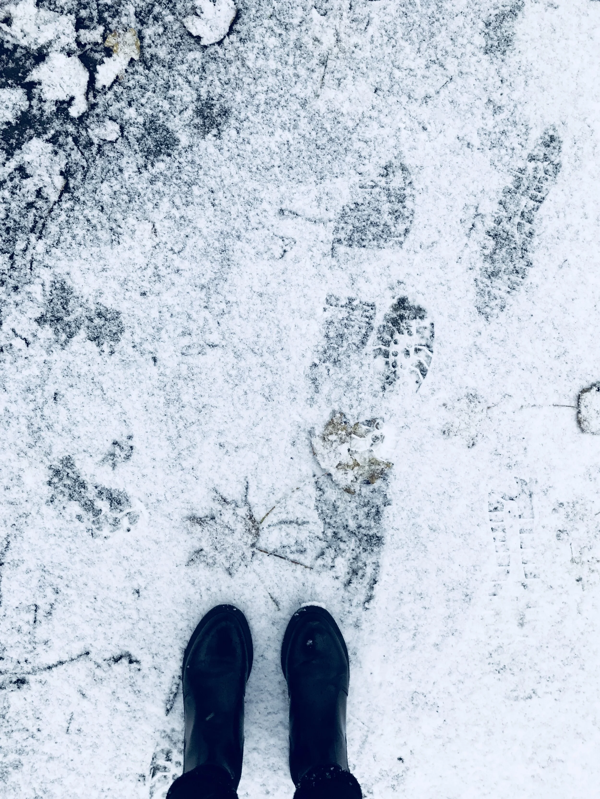 RED January 31 day walking challenge to boost wellbeing — Go Jauntly