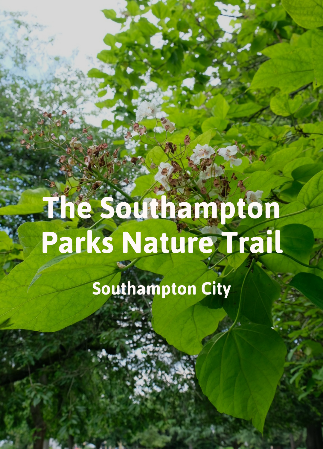 Walking app - Southampton walking routes — Go Jauntly