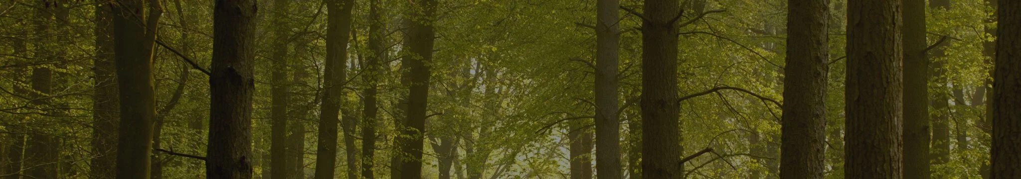 Walking App - Go Jauntly - Discover walks, curate your own and share ...