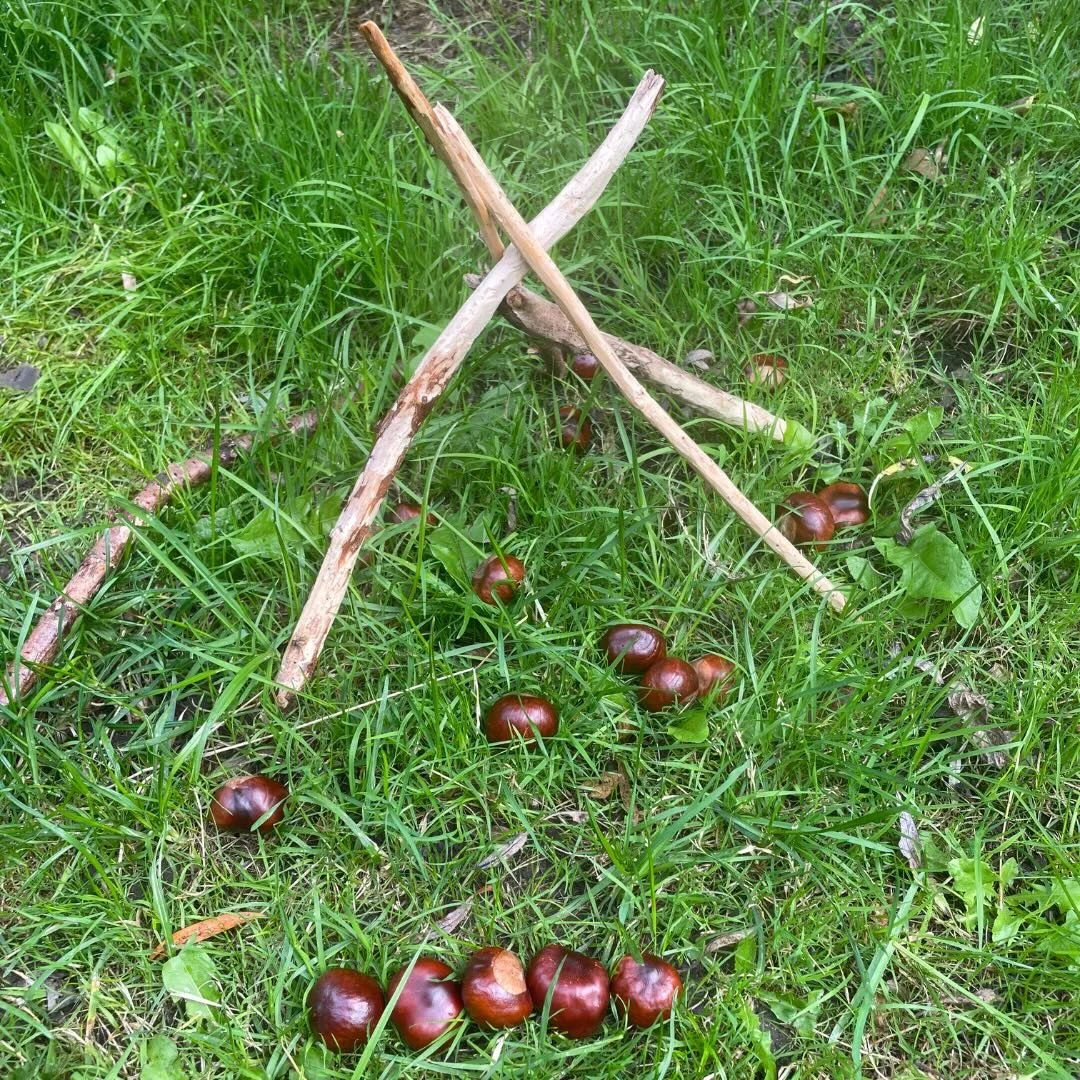 Top 10 Fun Nature Games and Activities for Kids and Families — Go Jauntly