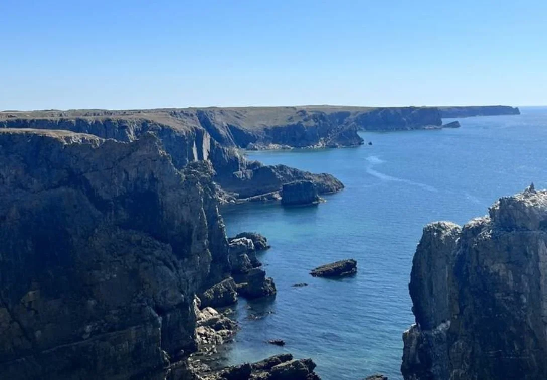 Where was David Attenborough's Wild Isles Filmed? — Go Jauntly