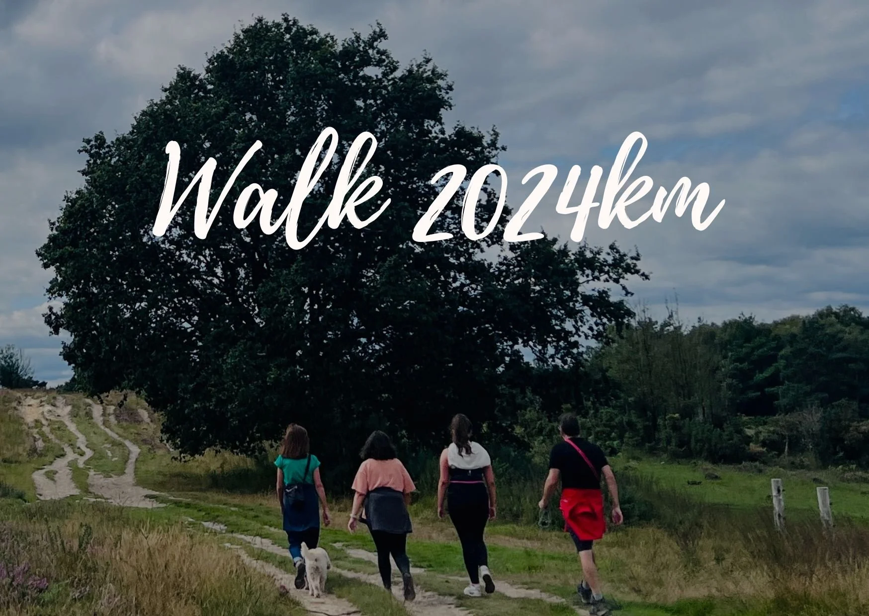 Best Walking Challenges for 2024 — Go Jauntly