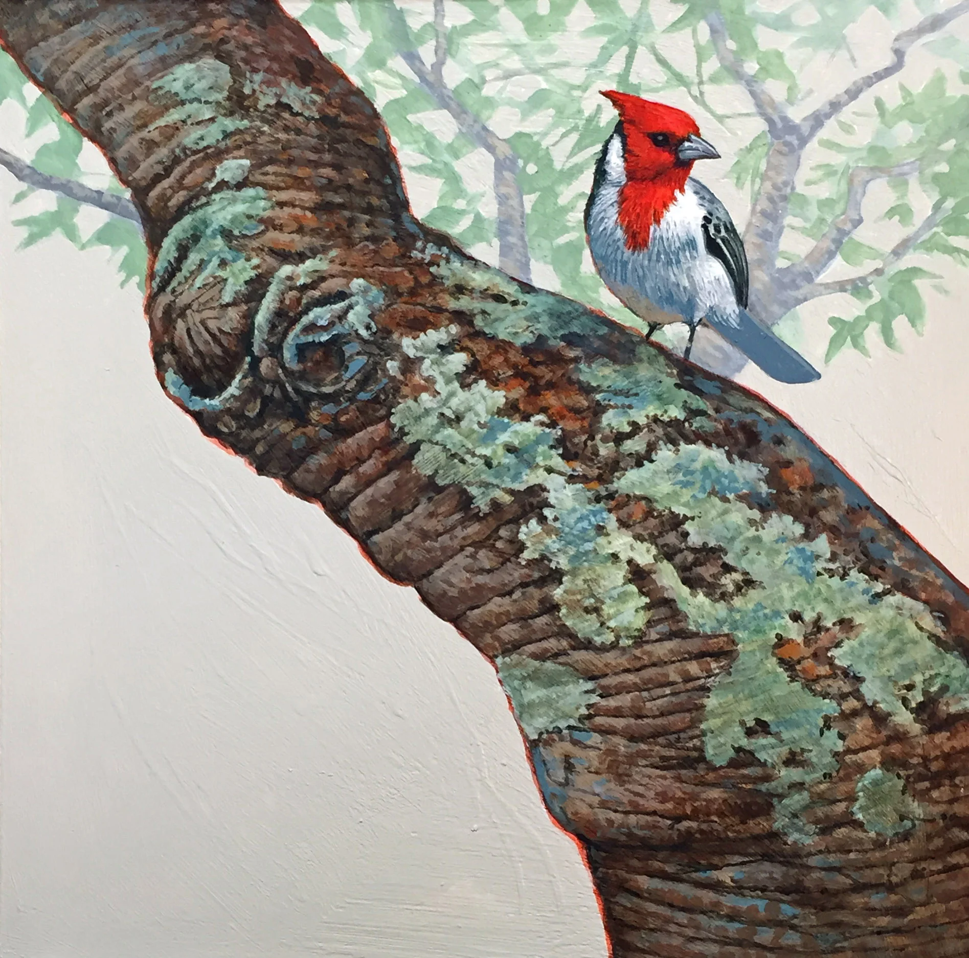 Thomas Cory Fine Art — Studio Seven Arts