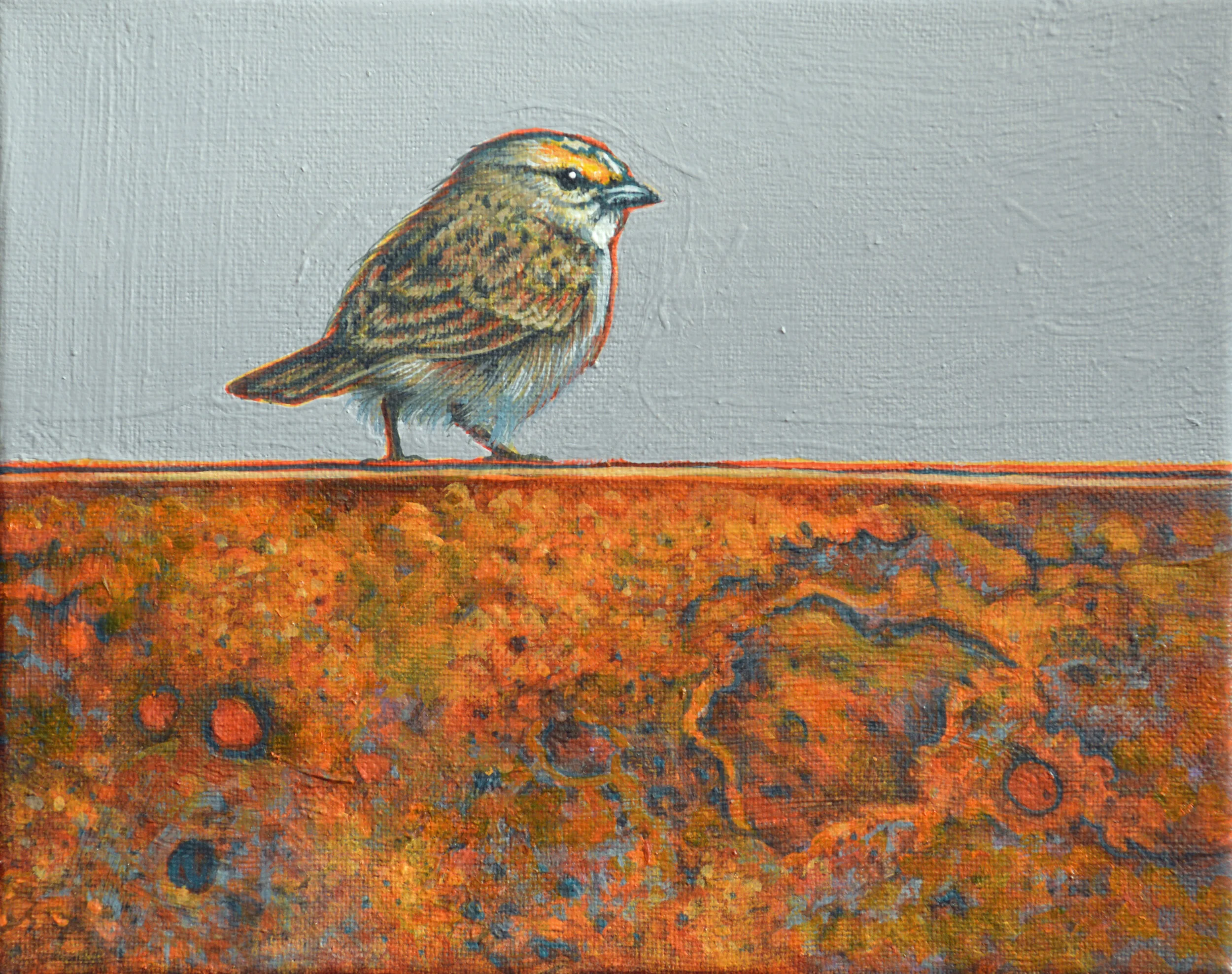 Thomas Cory Fine Art — Studio Seven Arts