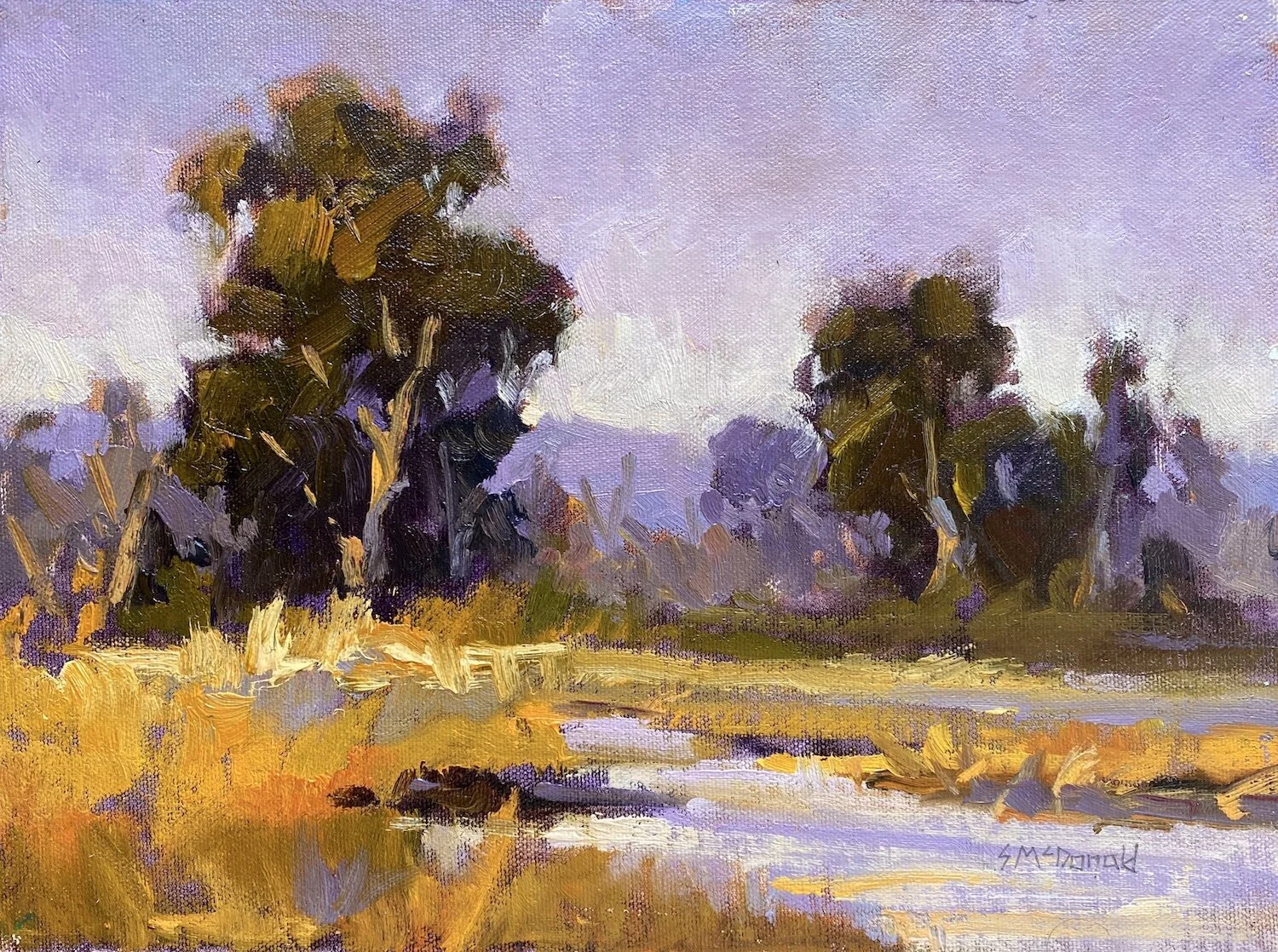 Steven McDonald Fine Art — Studio Seven Arts