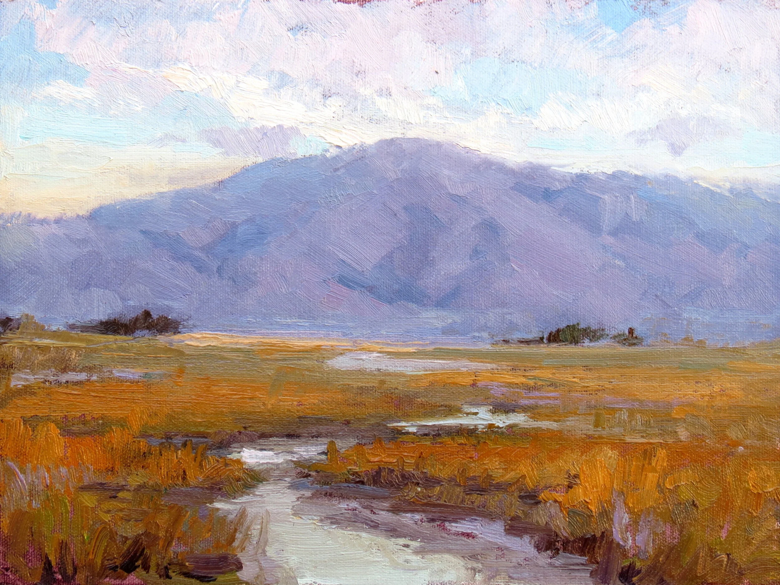 Steven McDonald Fine Art — Studio Seven Arts