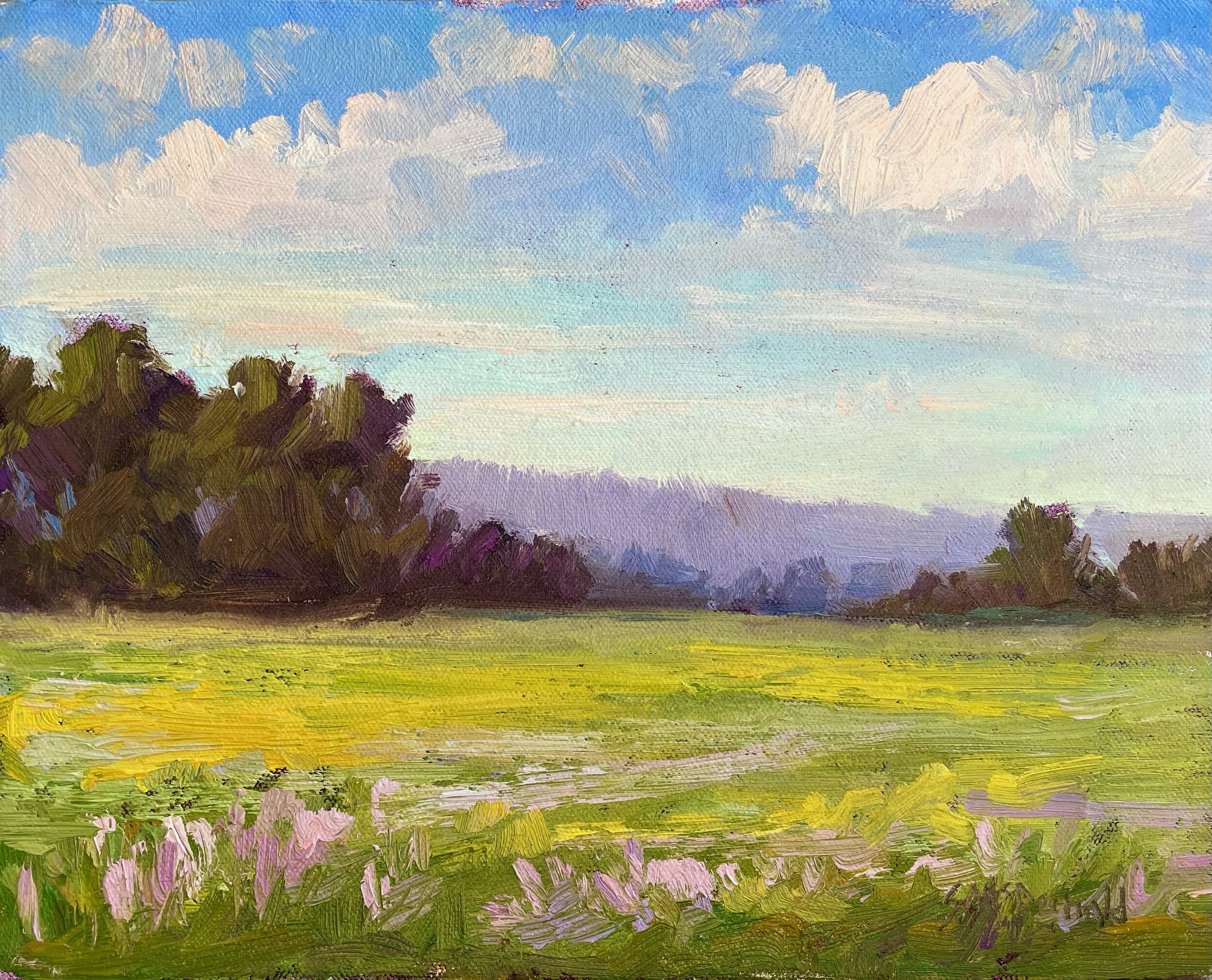 Steven McDonald Fine Art — Studio Seven Arts