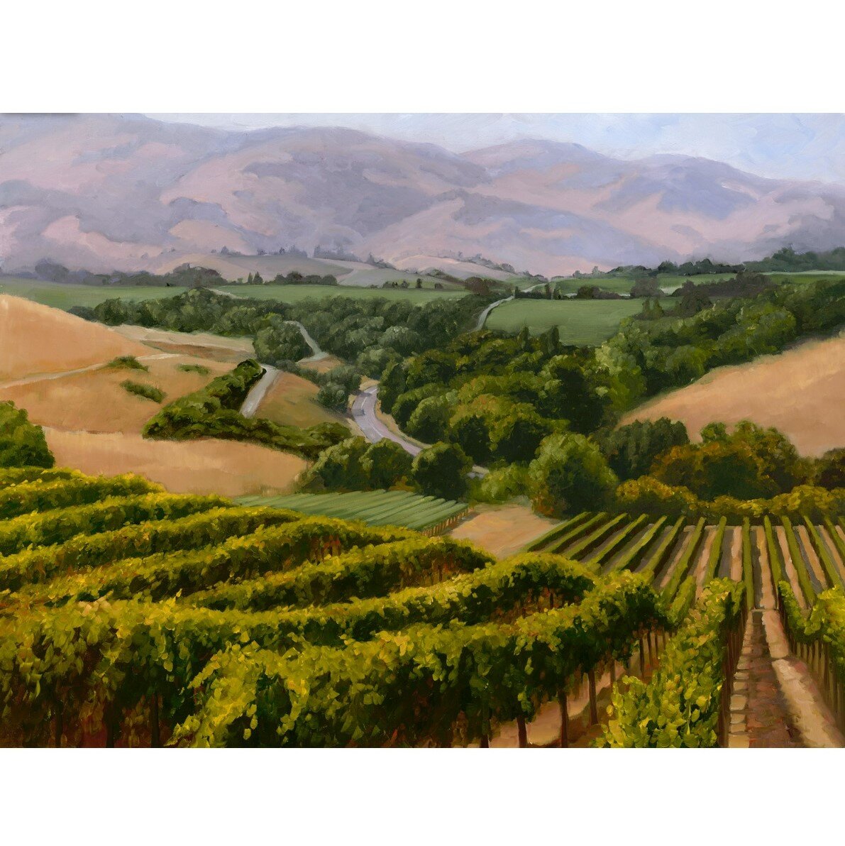 Vintner's View — Studio Seven Arts