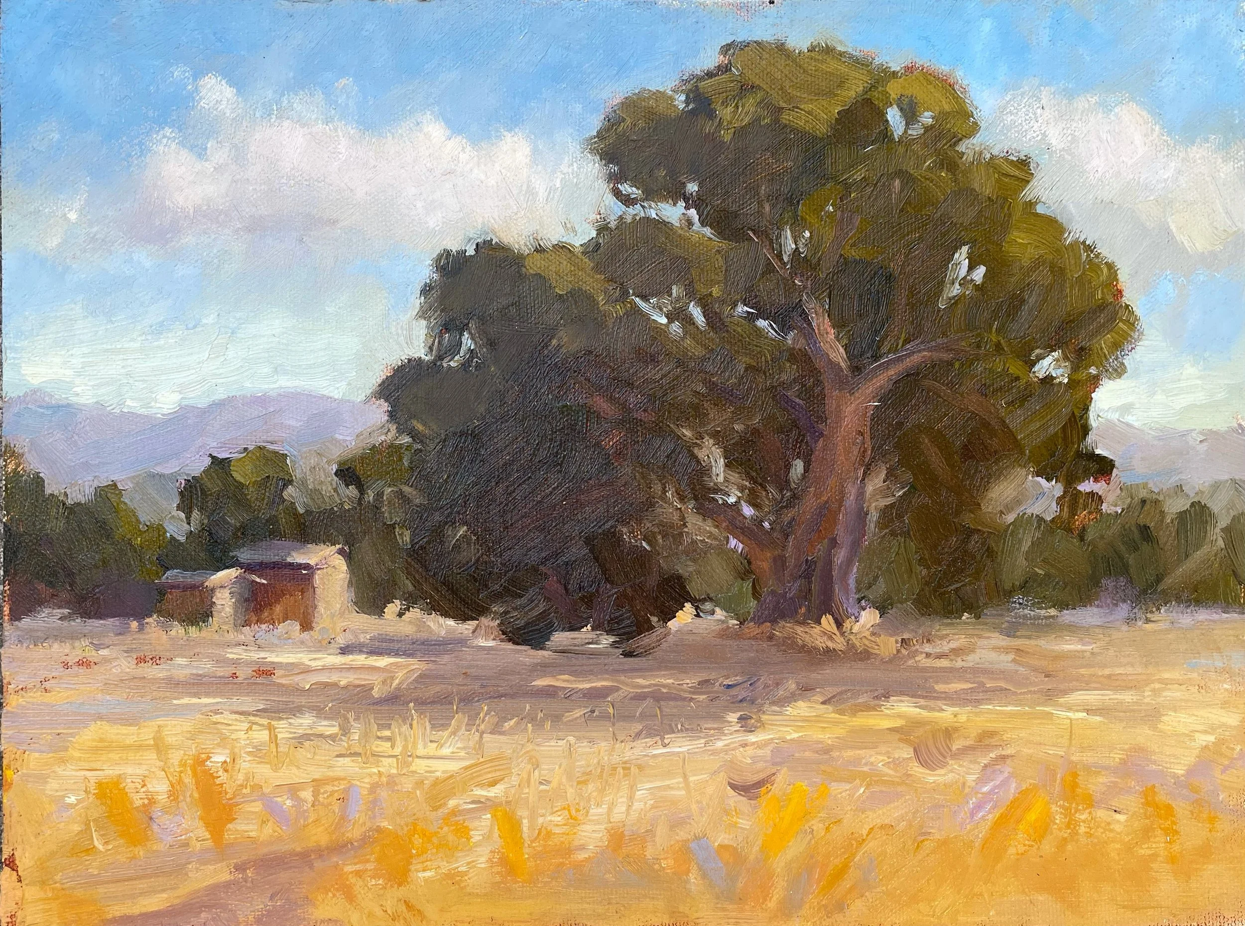 Steven McDonald Fine Art — Studio Seven Arts